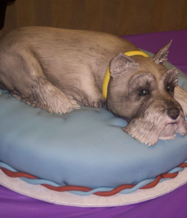 Top Cakes with Dogs - CakeCentral.com