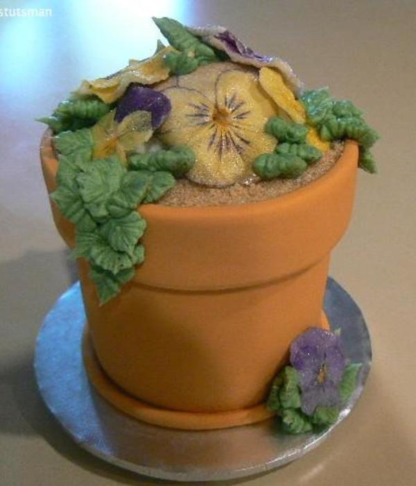 Top Pansy Cakes - CakeCentral.com