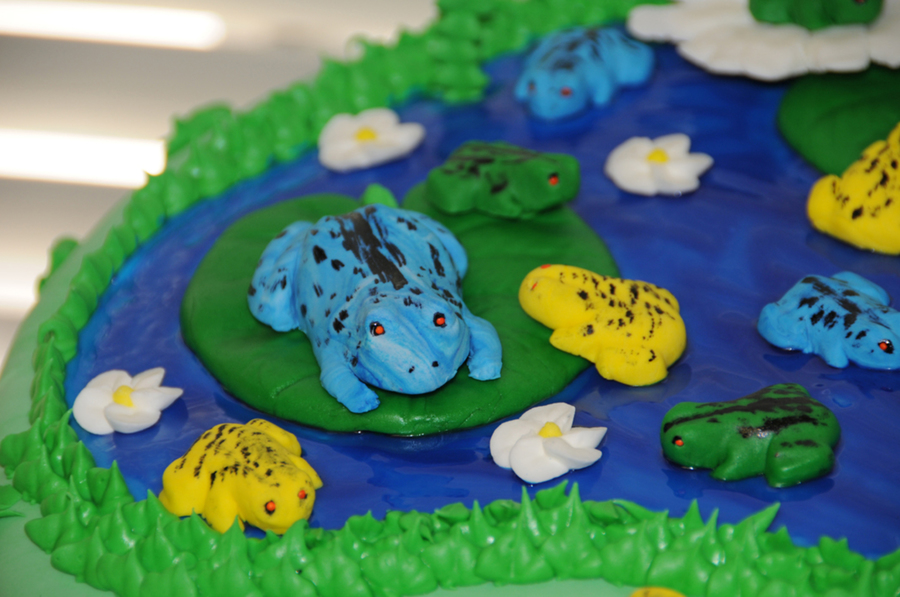 Frog Theme'd Baby Shower Cake - CakeCentral.com
