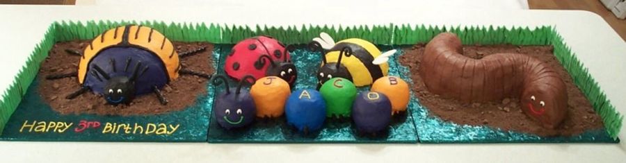 Bug Cakes - CakeCentral.com
