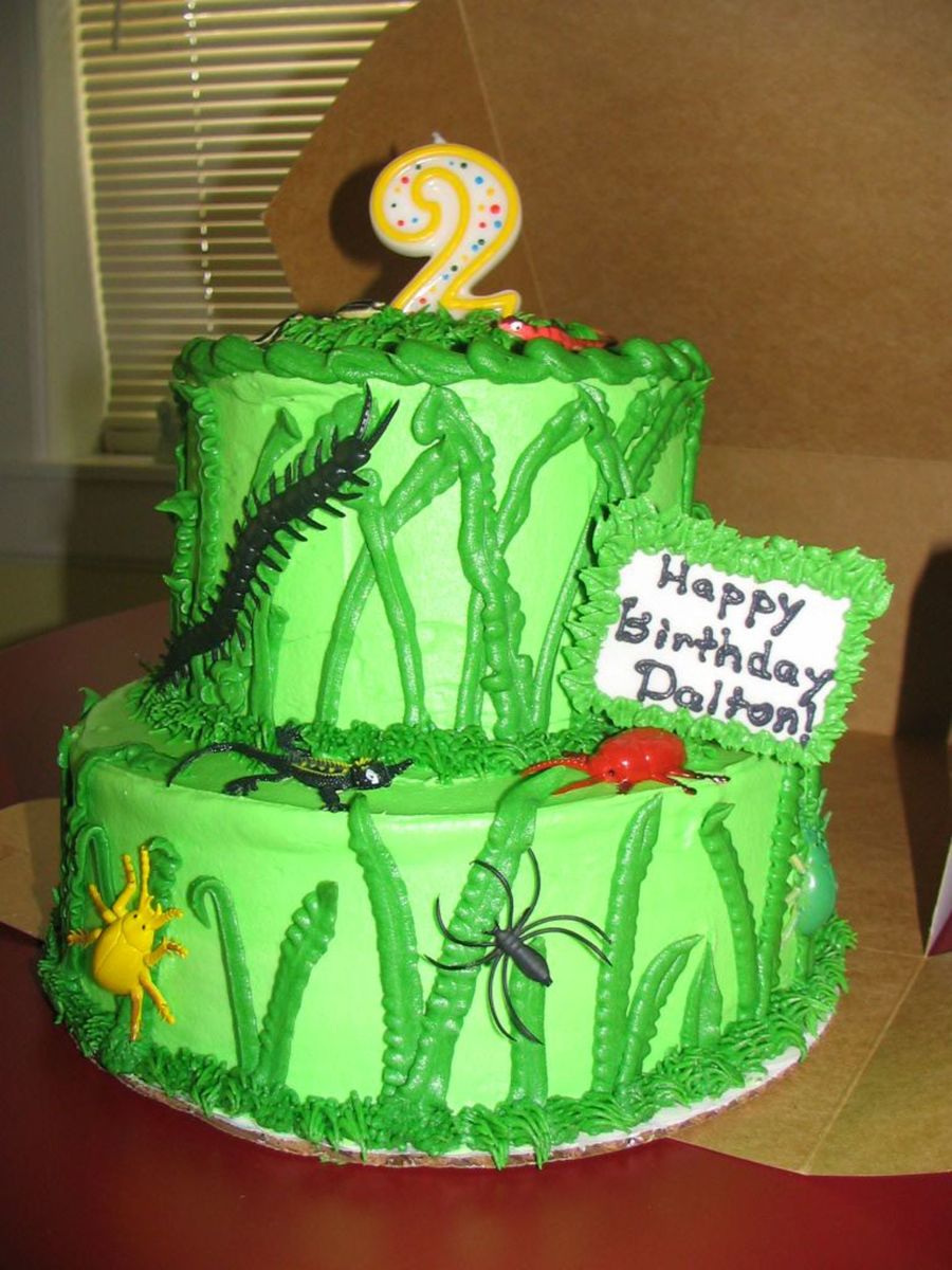 Bug Cake - CakeCentral.com