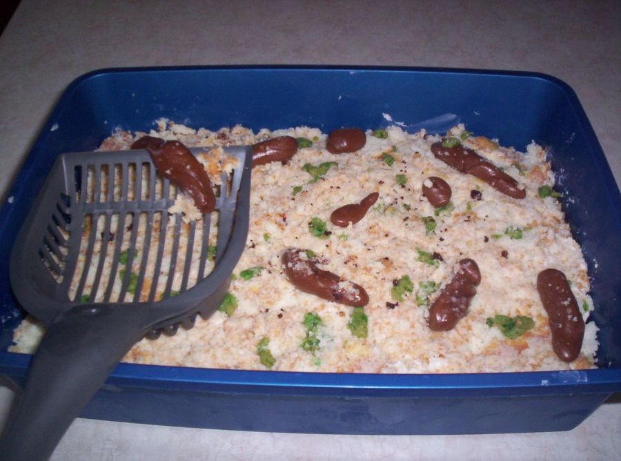 Litter Box Cake - CakeCentral.com