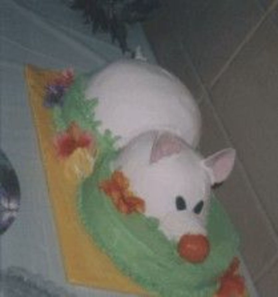 Roasted Pig Cake - CakeCentral.com