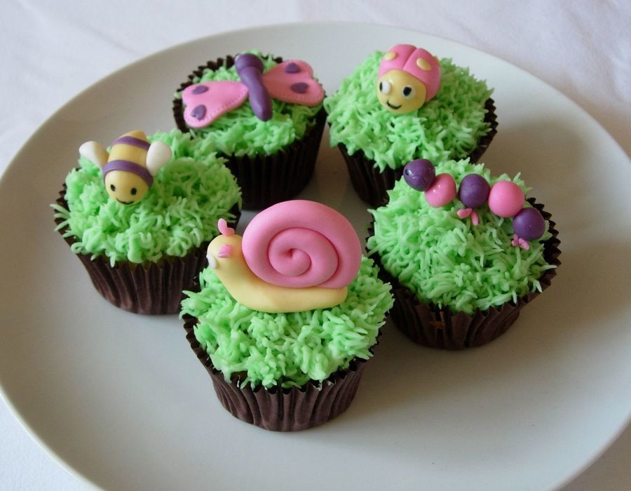 Insect Cupcakes - CakeCentral.com