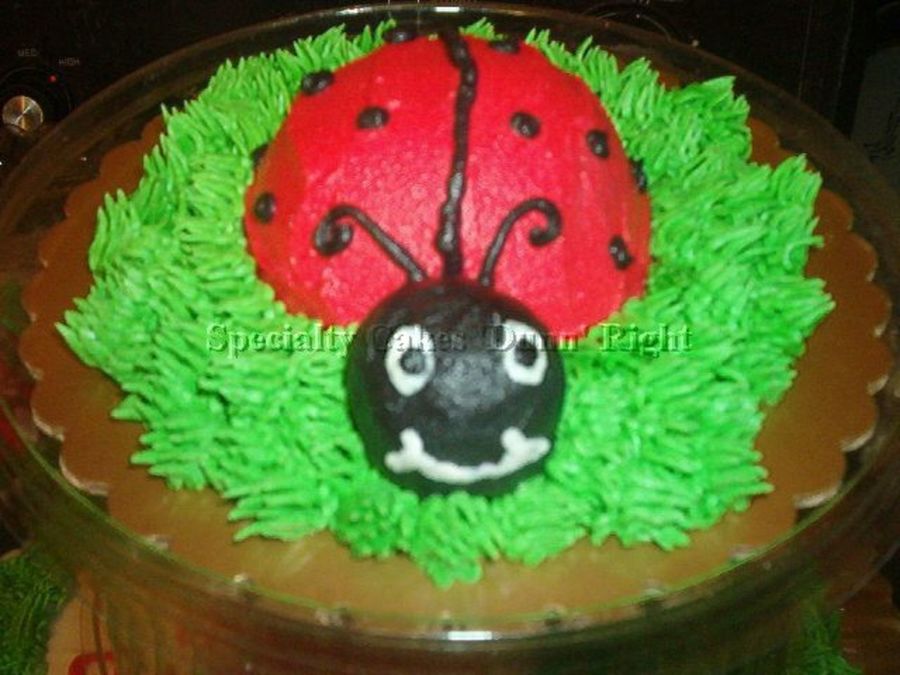 Lady Bug Smash Cake - CakeCentral.com
