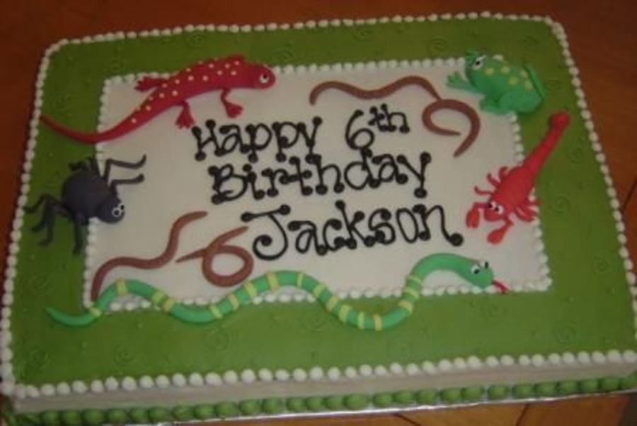 Critter Cake - CakeCentral.com