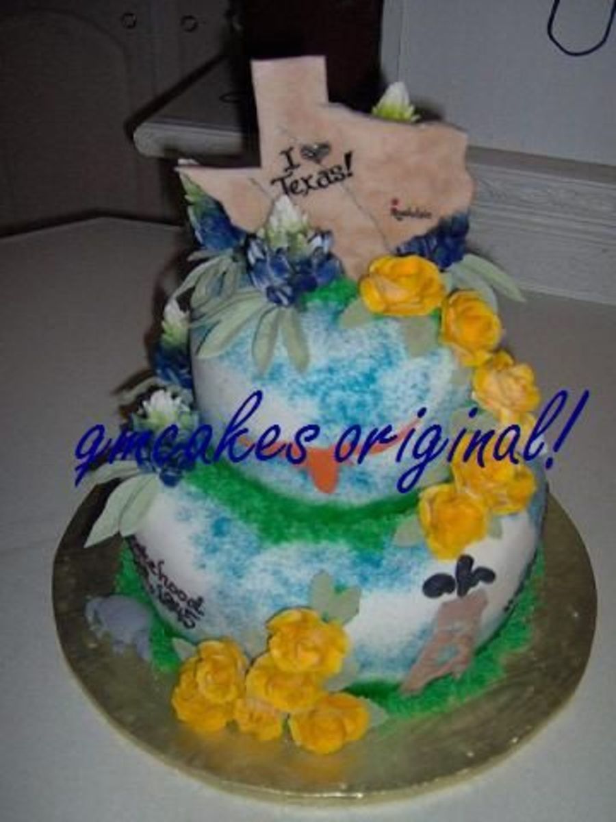 Texas Themed Cake - CakeCentral.com