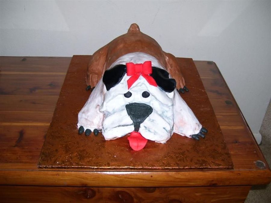 Bull Dog Cake - CakeCentral.com