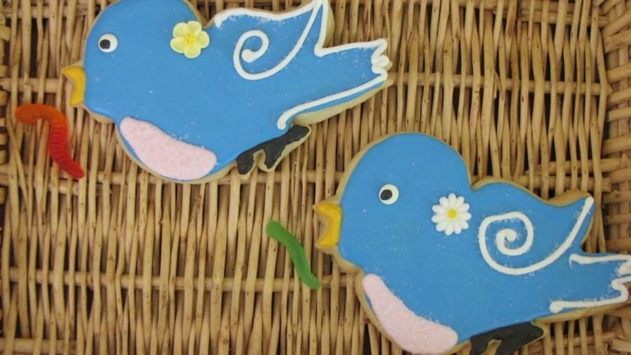 Bluebird Cookies - CakeCentral.com