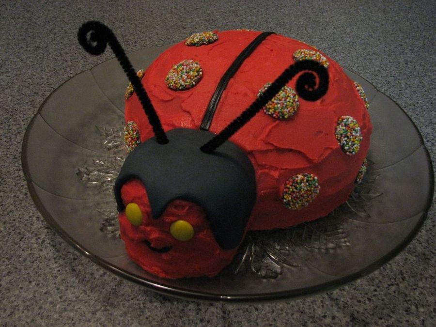 Ladybird Birthday Cake - CakeCentral.com