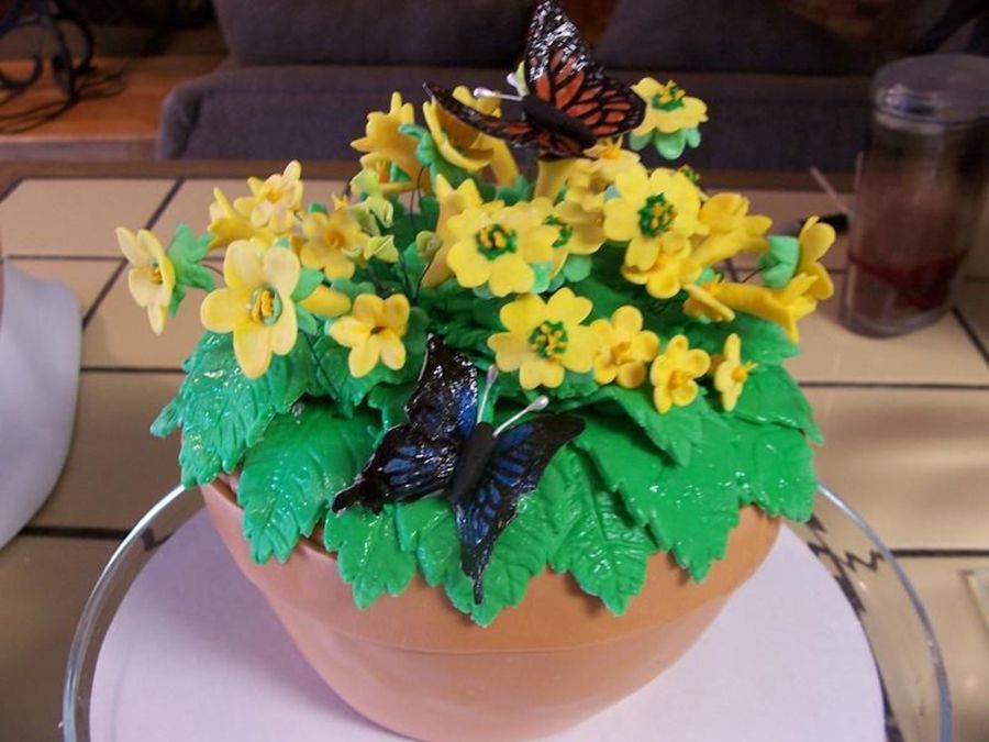 Flower Pot Cake - CakeCentral.com
