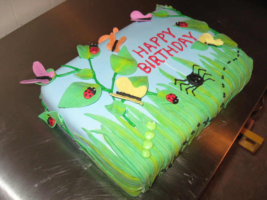 Bug Birthday Cake - CakeCentral.com