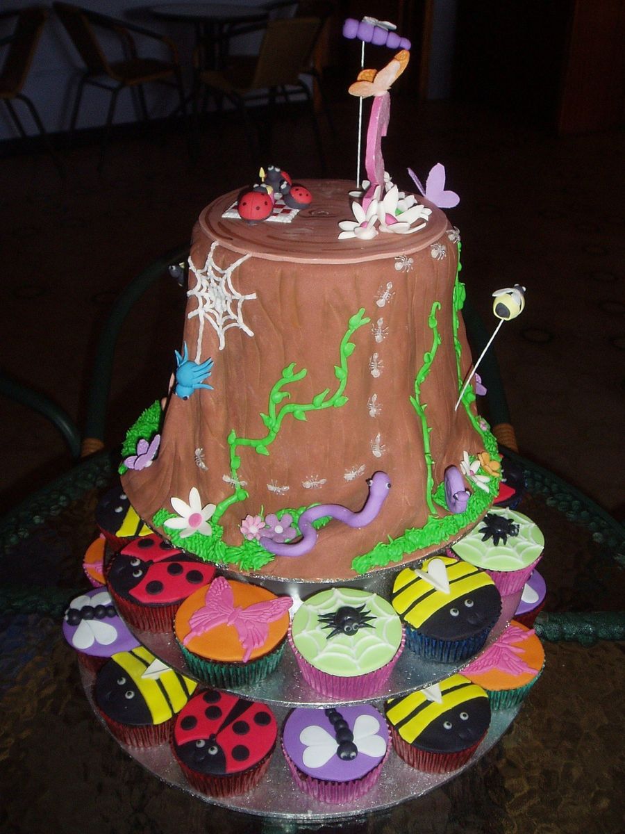 Insect Themed Birthday Cake - CakeCentral.com