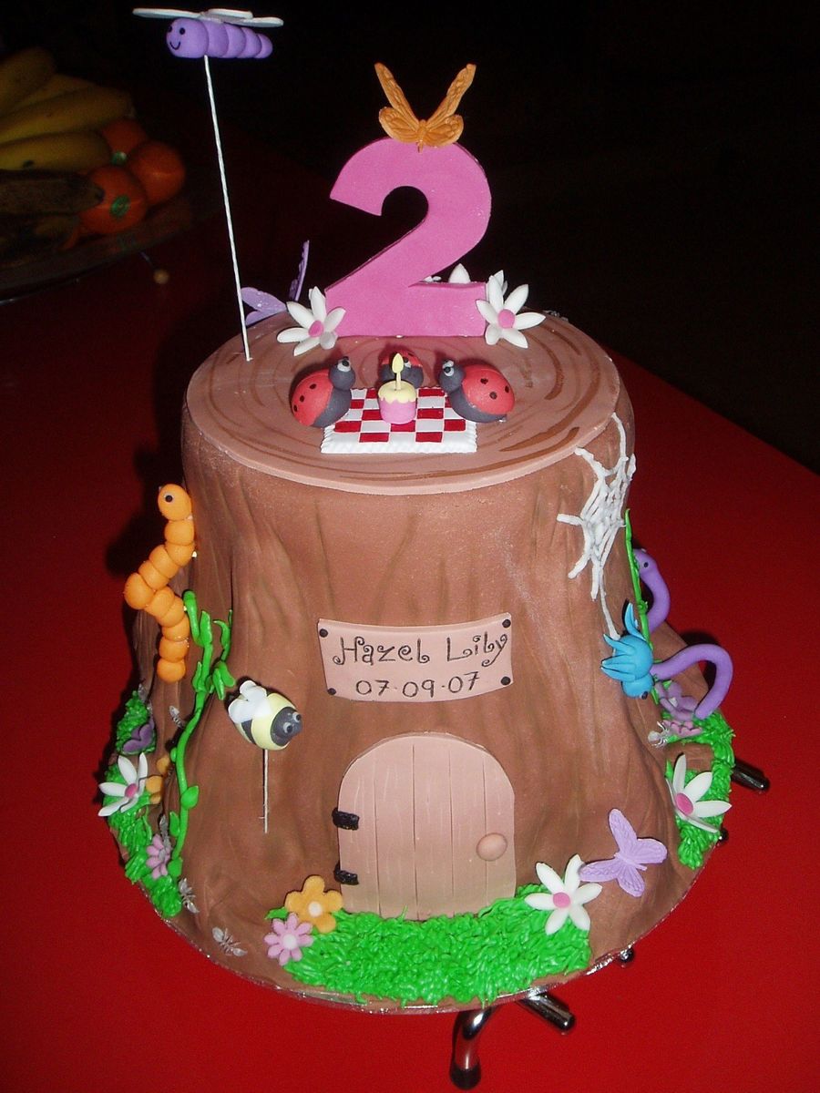 Insect Themed Birthday Cake - CakeCentral.com