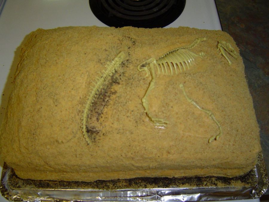 Dino Dig Cake - CakeCentral.com