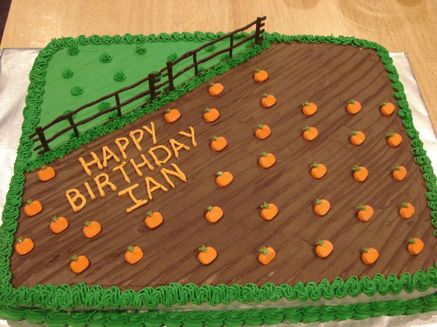 Pumpkin Patch Cake - CakeCentral.com