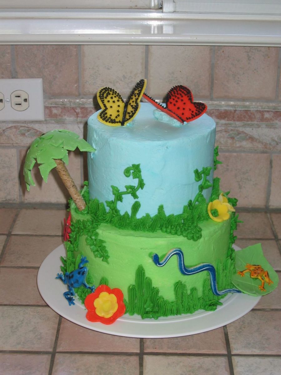 Rainforest Birthday Cake - CakeCentral.com