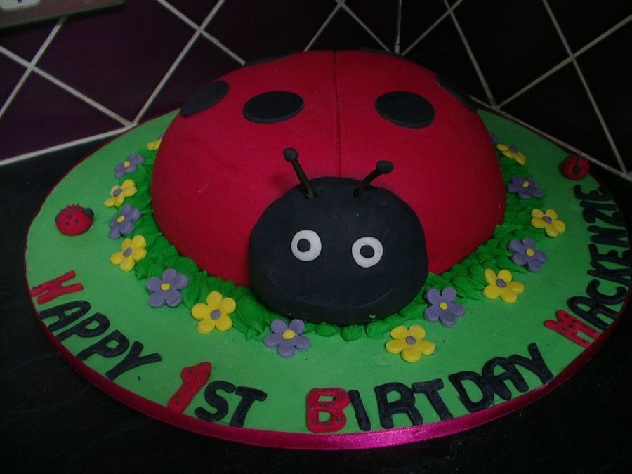 Lady Bug Cake - CakeCentral.com