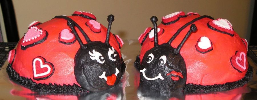 Love Bugs - CakeCentral.com