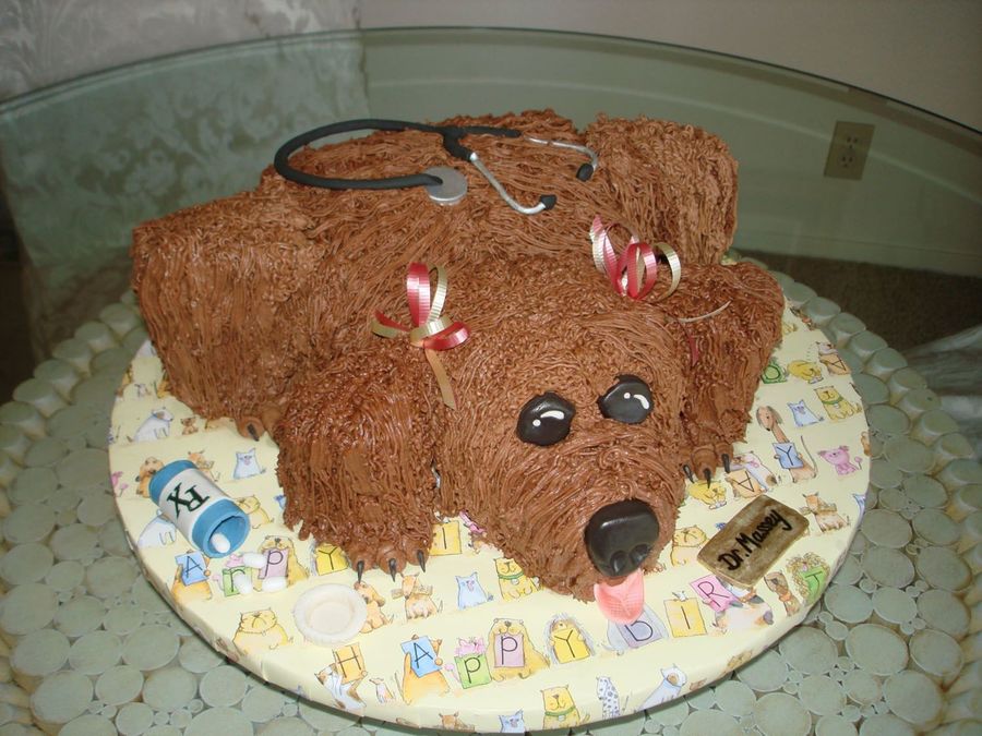 Birthday Cake For Vet - CakeCentral.com