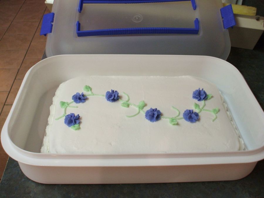 Very First Cake - CakeCentral.com