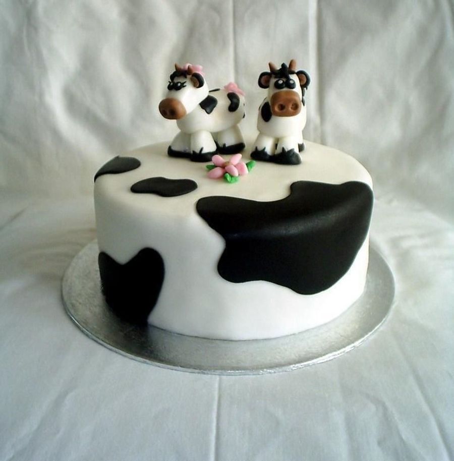 Cow Cake - CakeCentral.com