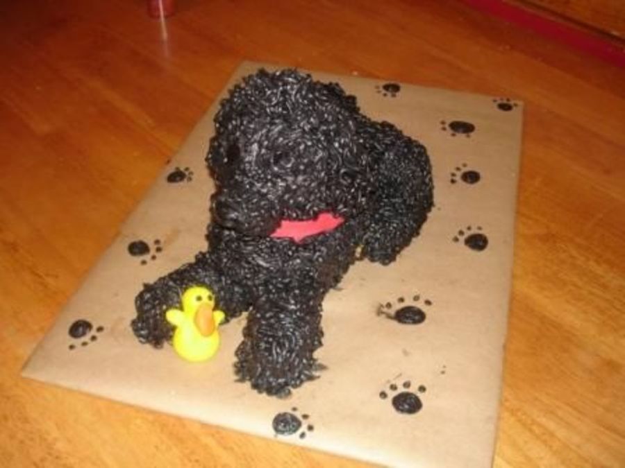 Black Poodle Cake - CakeCentral.com