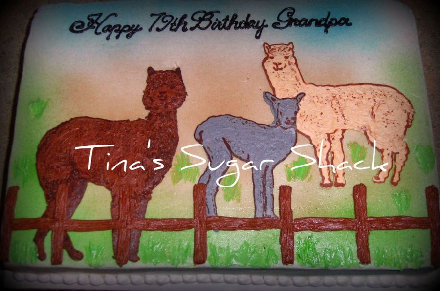 Alpaca Cake - CakeCentral.com