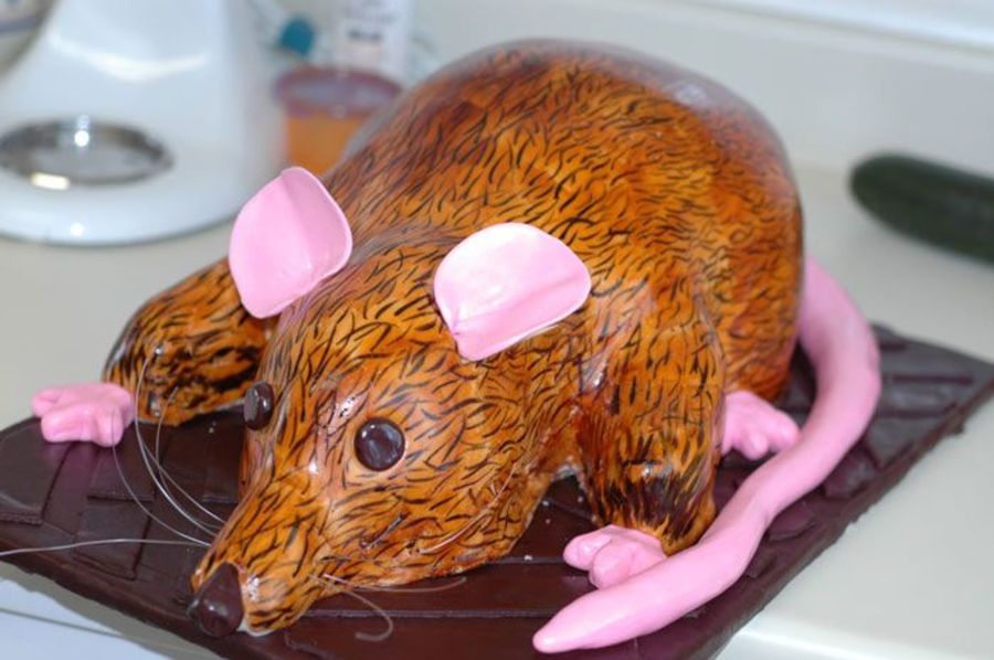 Cheyenne's Rat Cake - CakeCentral.com