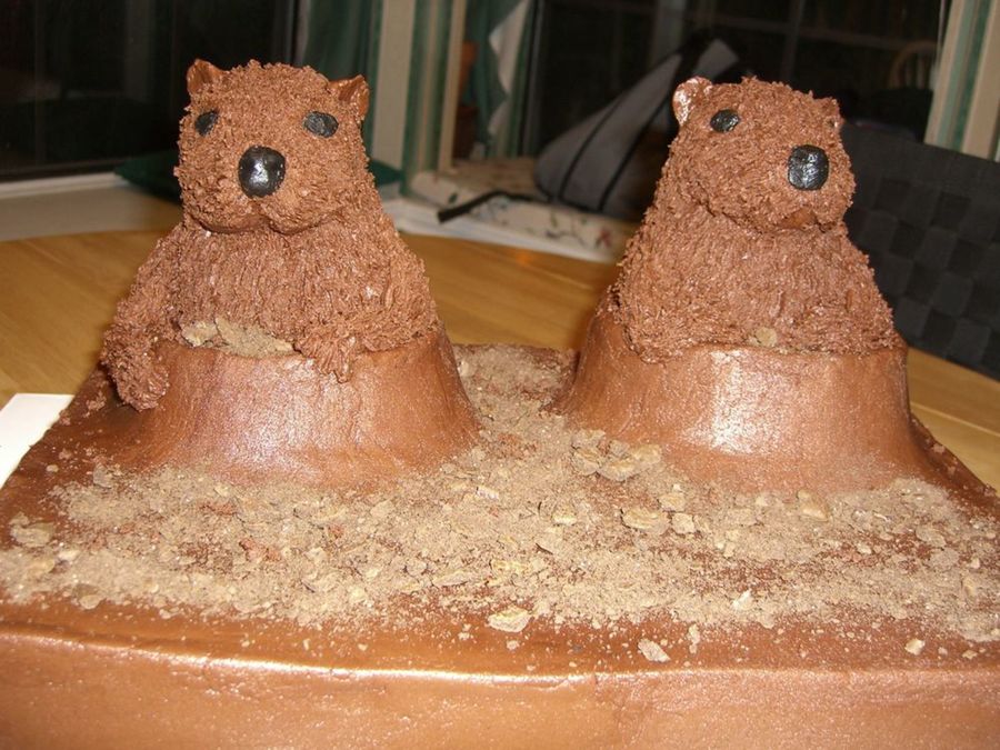 Groundhog Day Cake - CakeCentral.com