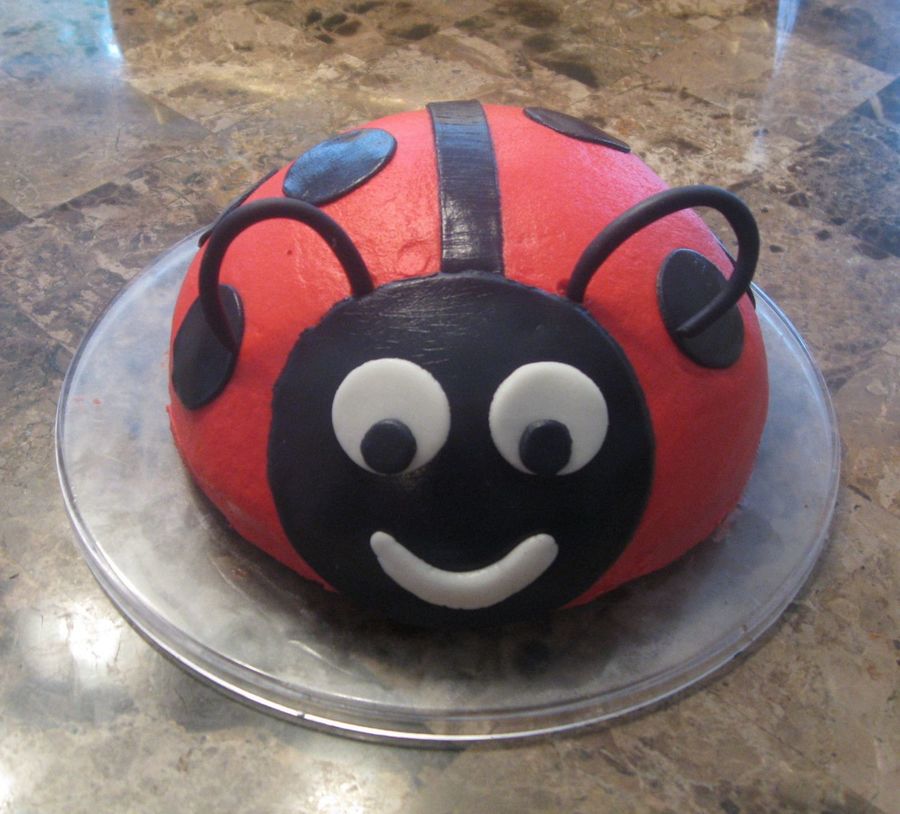 Mini Ladybug Cake - CakeCentral.com
