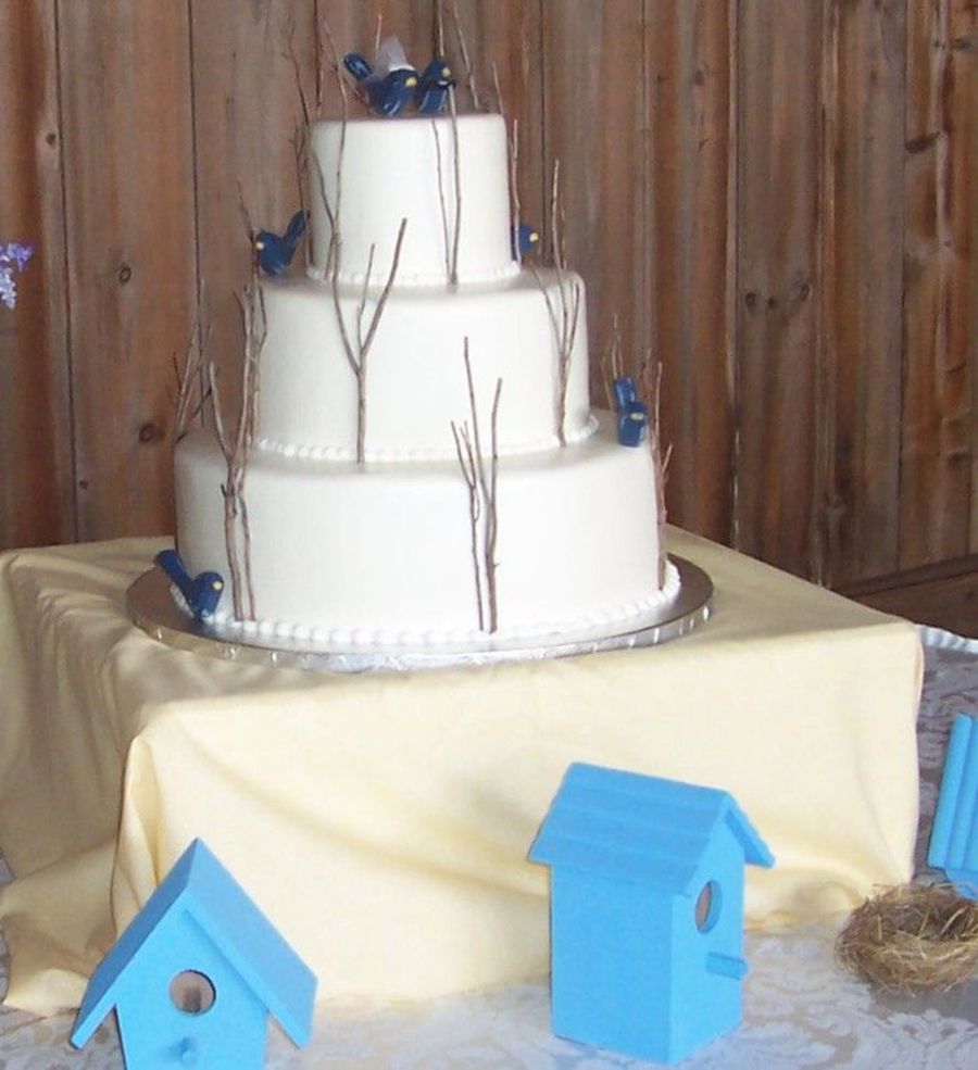 Bird Cake - CakeCentral.com