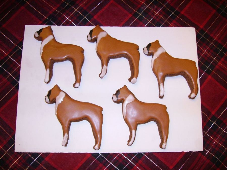 Boxer Cookies - CakeCentral.com