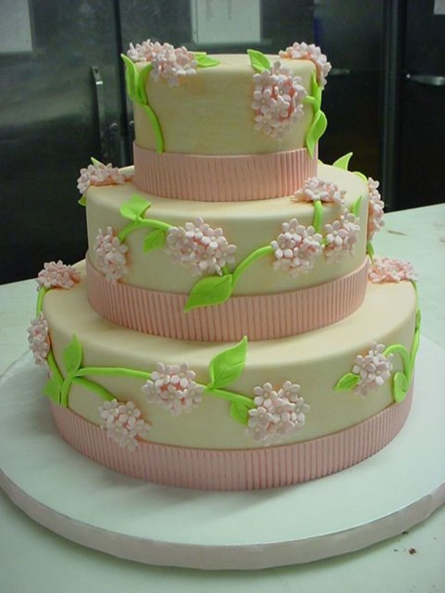 Pink Hydrangea - CakeCentral.com