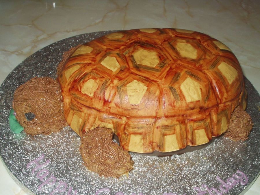 Tortoise / Turtle - CakeCentral.com