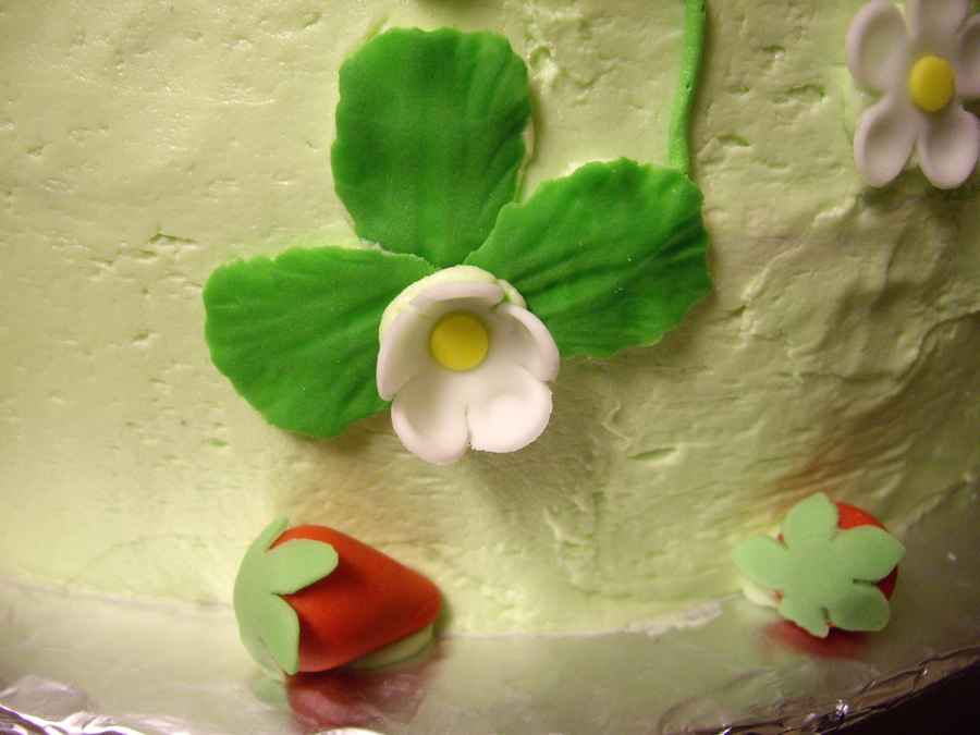 Strawberry Patch Cake - CakeCentral.com