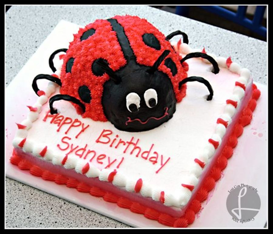 Ladybug Cake - CakeCentral.com