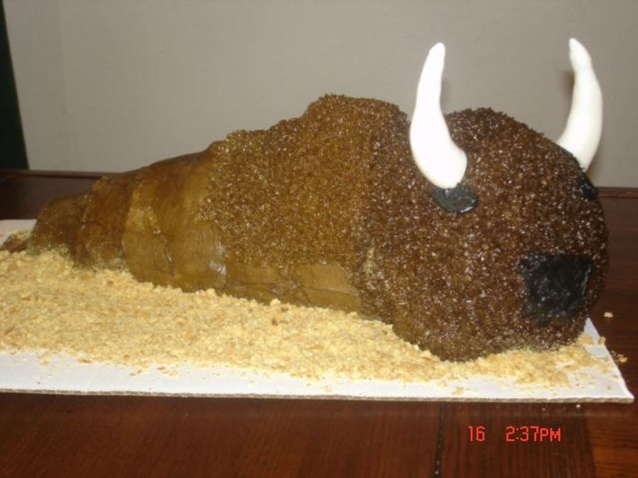 Buffalo - CakeCentral.com