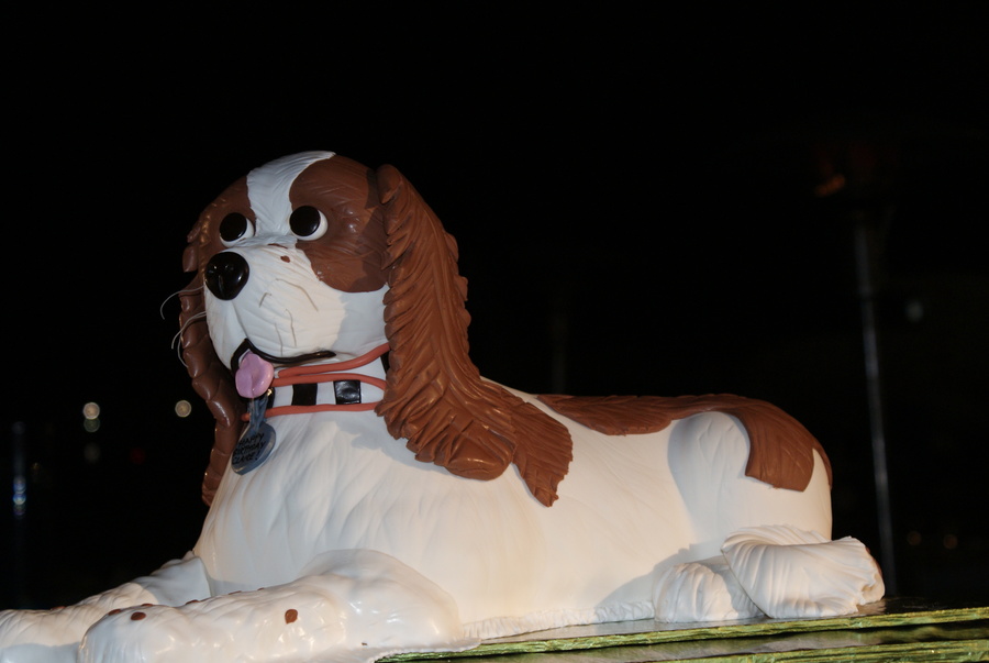 King Charles Cavalier Dog Cake - CakeCentral.com