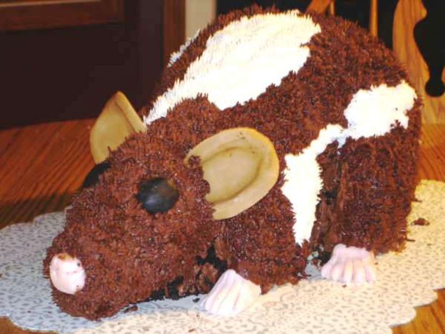 Year Of The Rat - Rat Shaped Cake - CakeCentral.com