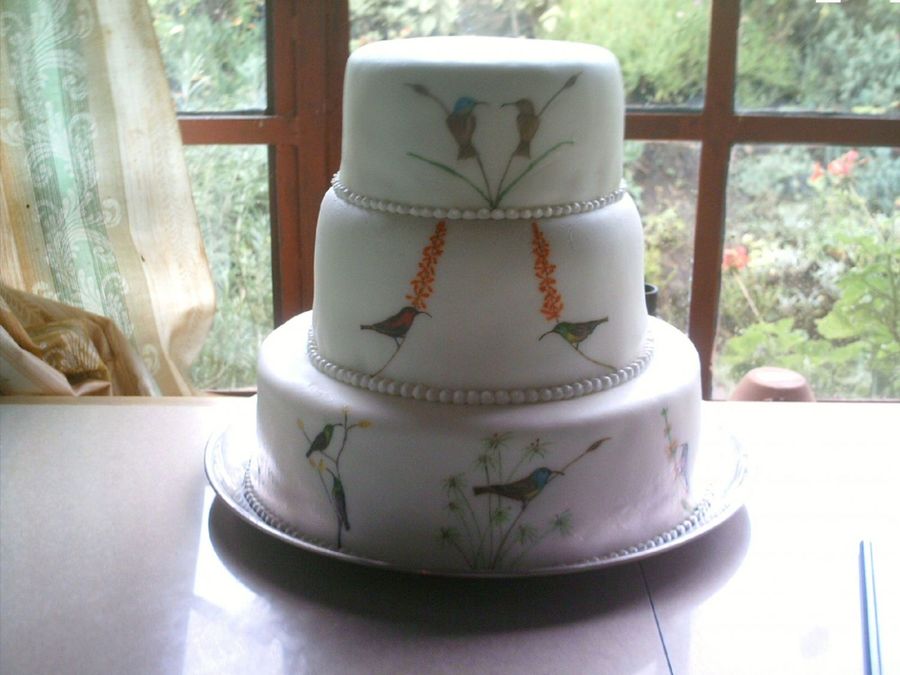 Painted Sunbirds - CakeCentral.com