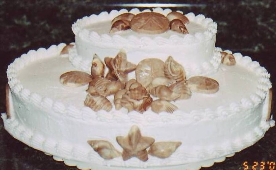 Chocolate Sea Shells - CakeCentral.com