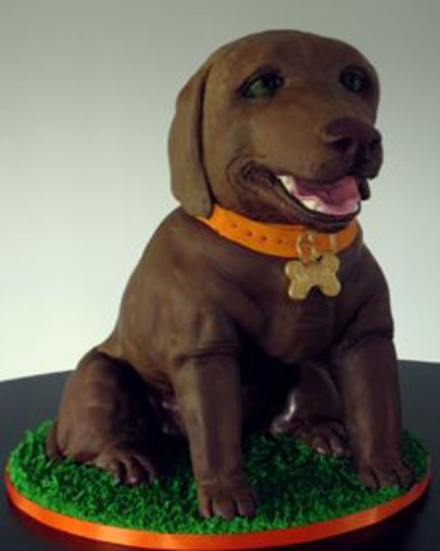Chocolate Lab - CakeCentral.com