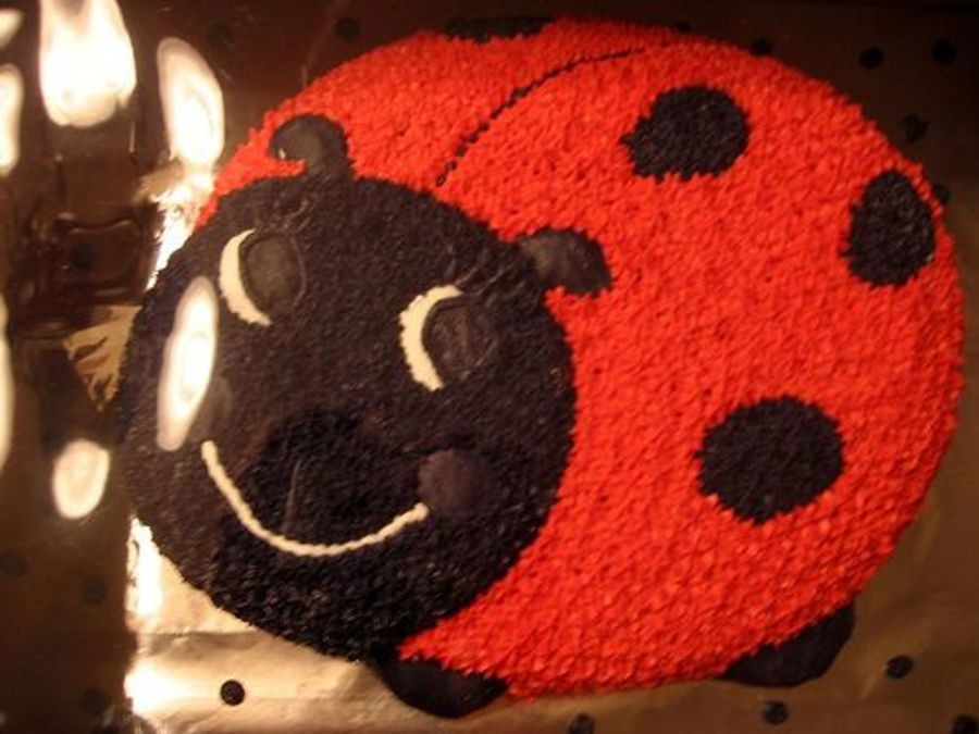 Ladybug Cake - CakeCentral.com