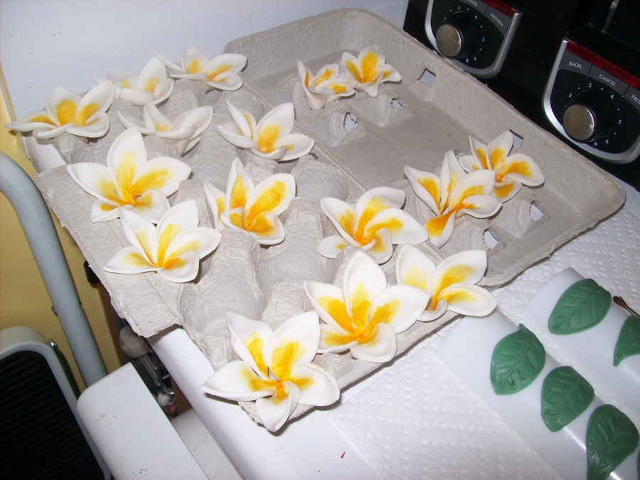 Plumeria Lei Cake - CakeCentral.com