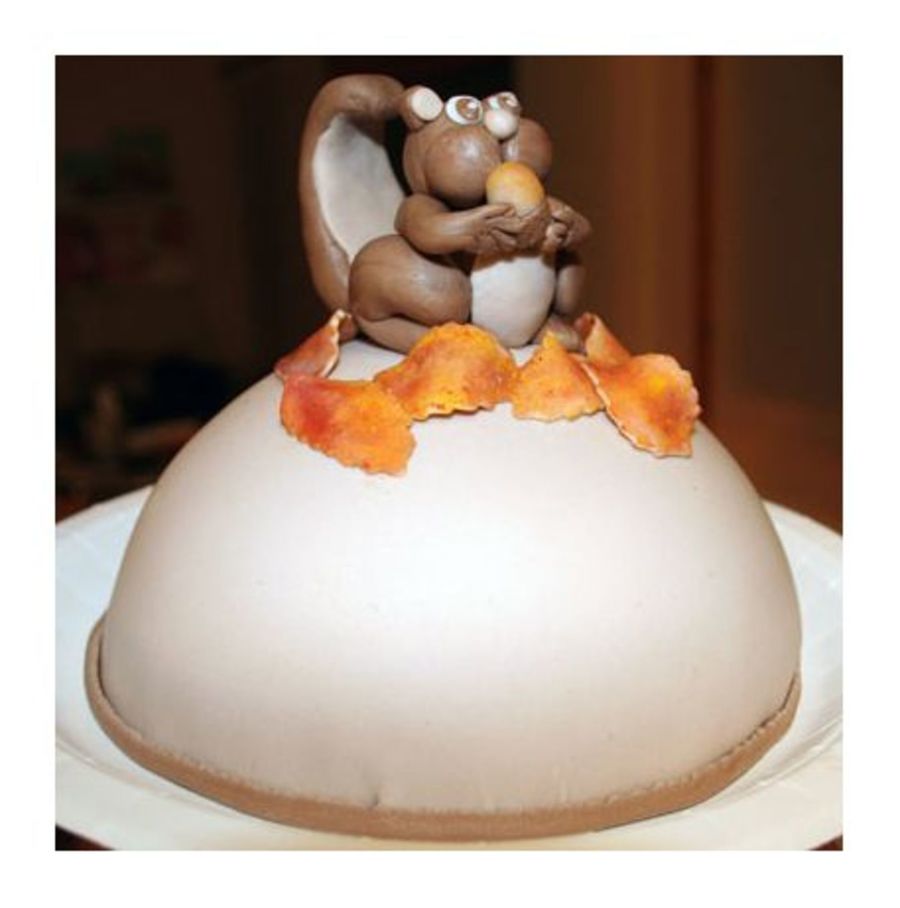 Overfed Squirrel - CakeCentral.com