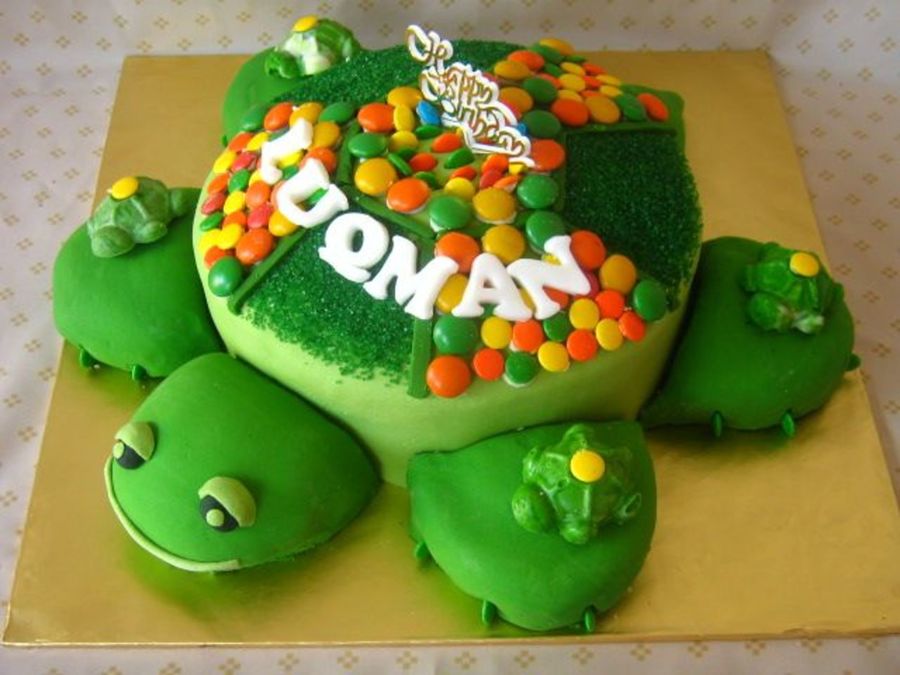 Turtle Cake - CakeCentral.com