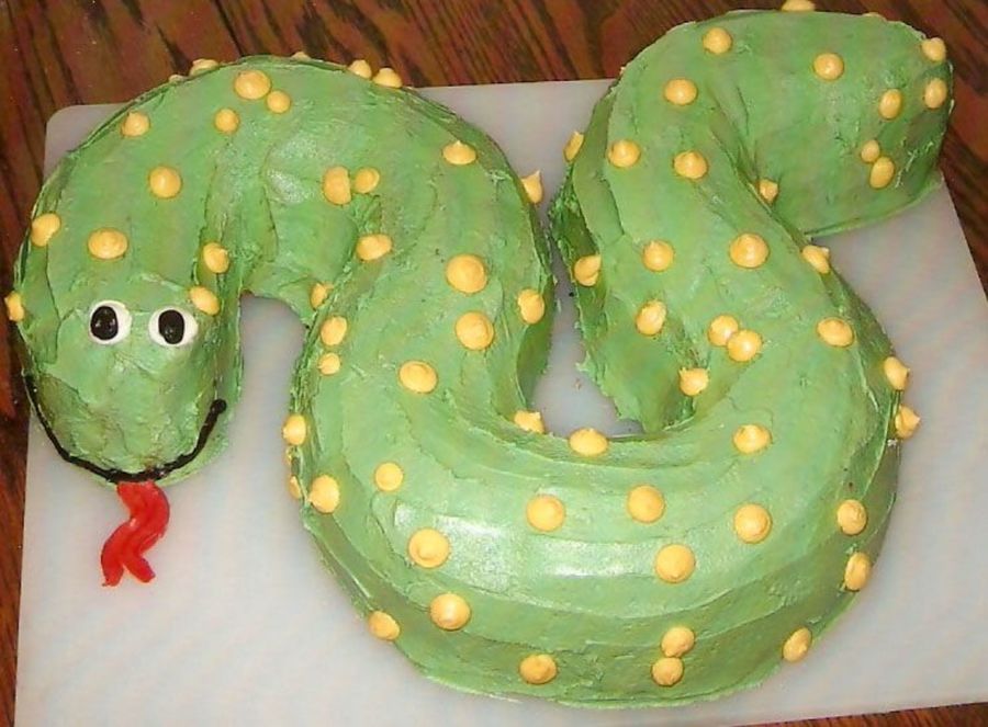 Snake Cake - CakeCentral.com