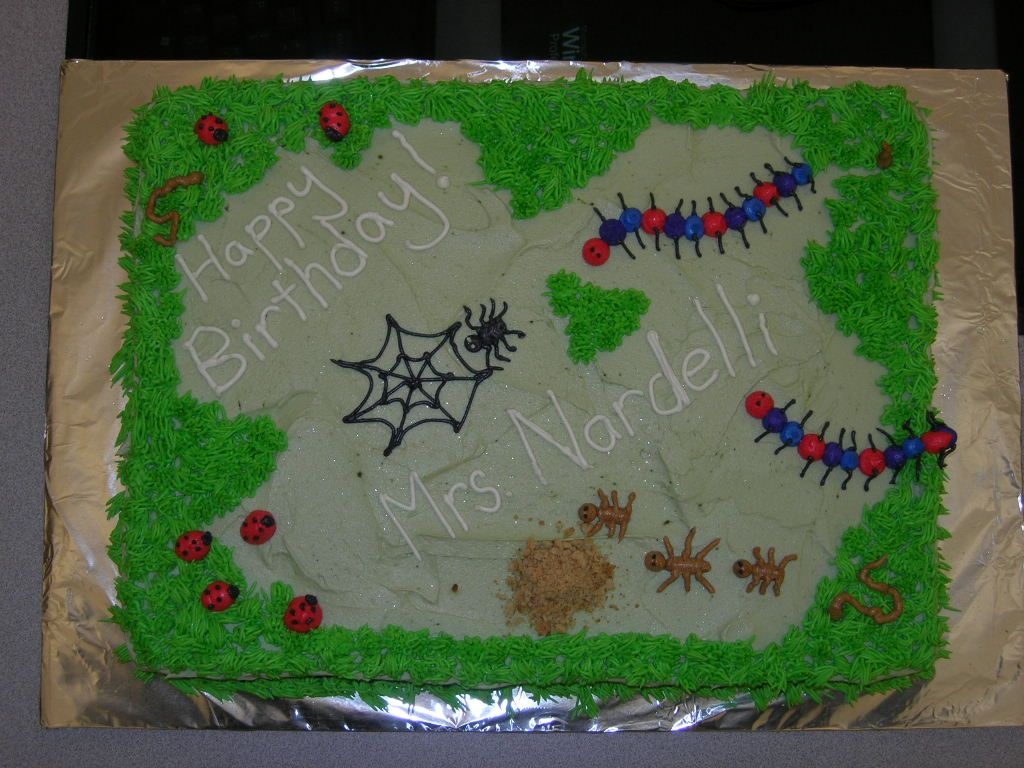 Bug Birthday Cake - CakeCentral.com