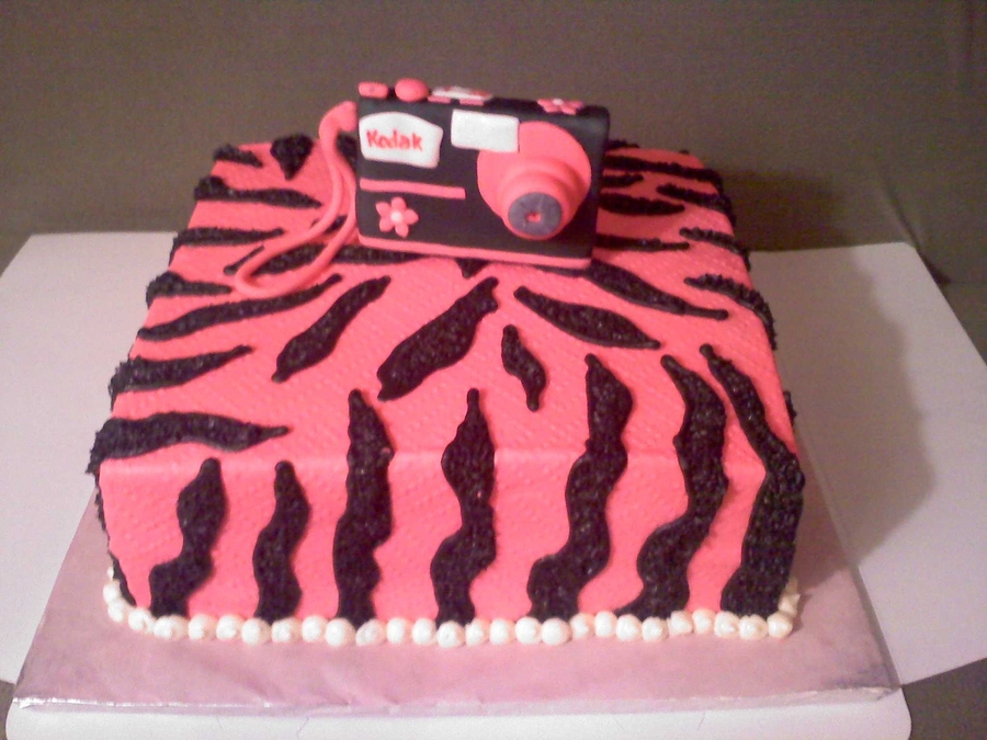 Pink Zebra With Camera And Photo - CakeCentral.com